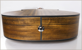 mr.Elvis כלי נגינה - גיטרה אקוסטית מוגברת – Smiger LG-09